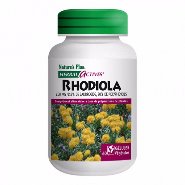 Rhodiola rosea - 60 gélules - Un super Ginseng